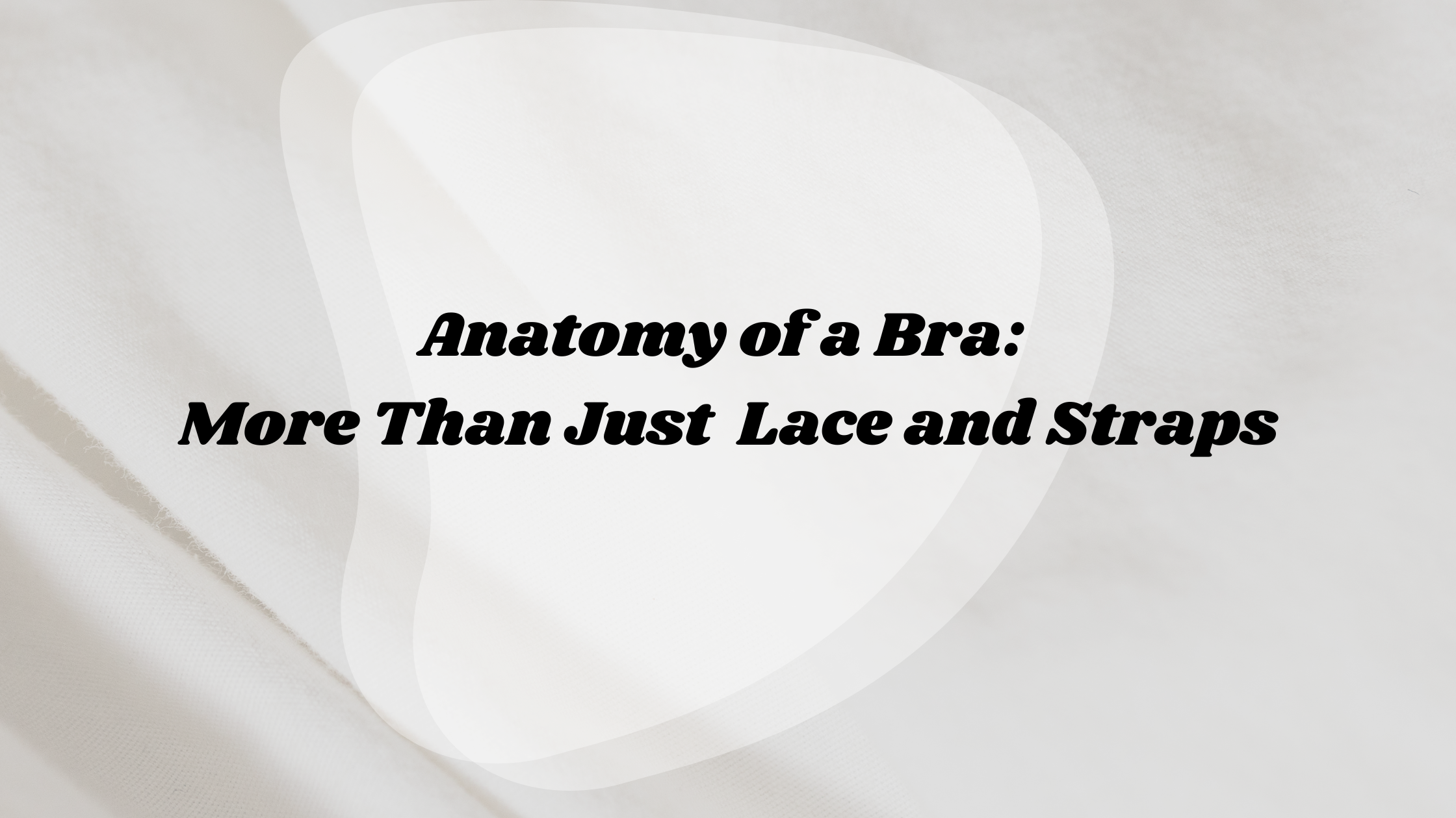What are the Key Components of a Bra? Anatomy Explained..... – SOIE Woman